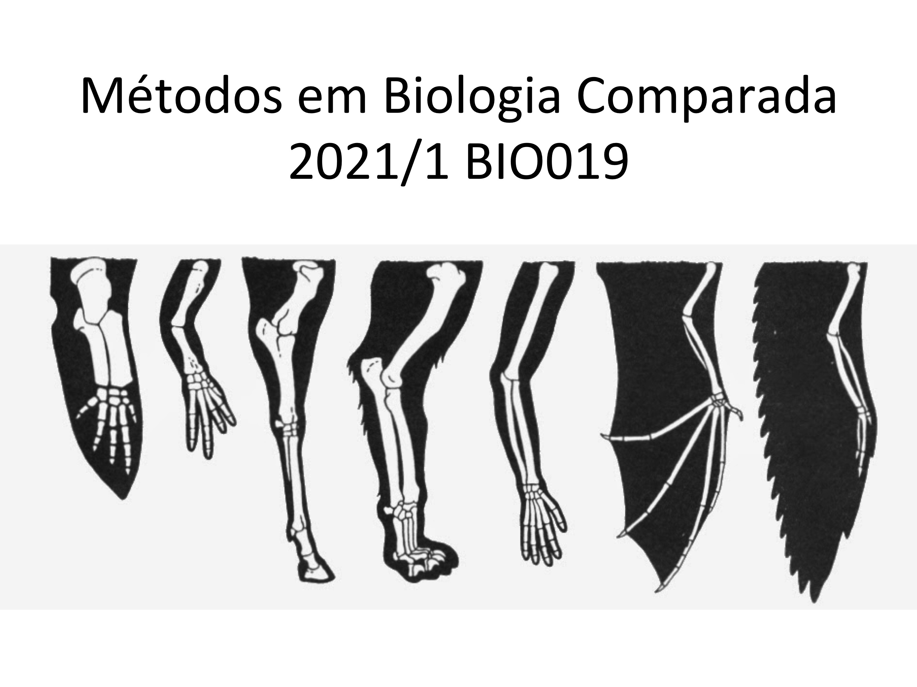 20211_BIO019_401406